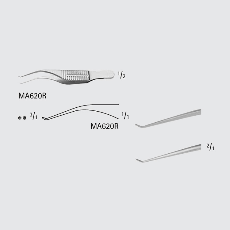 TROUTMAN-BARRAQUER Corneal Forceps – Tool de Surgical