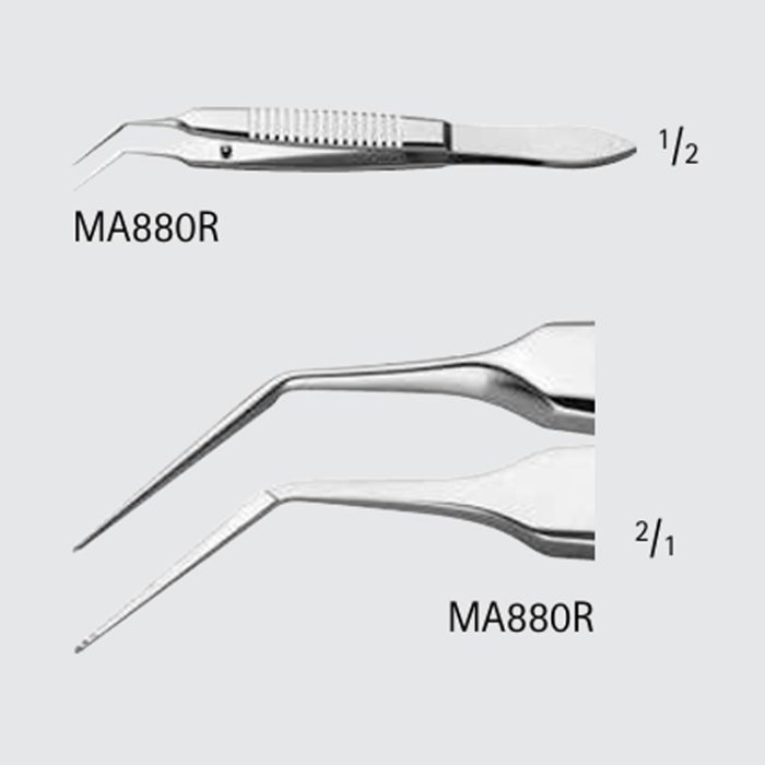 JAMESON Muscle Forceps, W/ Lock – Tool de Surgical