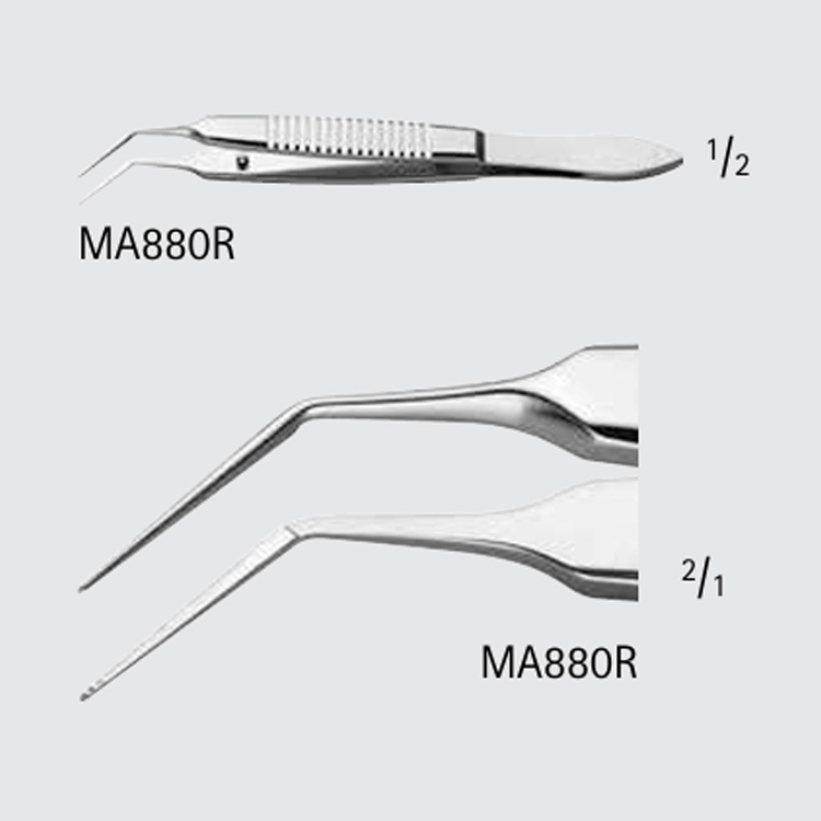 JAMESON Muscle Forceps, W/ Lock – Tool de Surgical